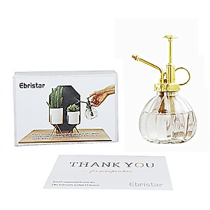 Plant Mister, 6.5" Tall Decorative Glass Water Spray Bottle with Gold Top Pump Small Watering Can by Ebristar - Clear