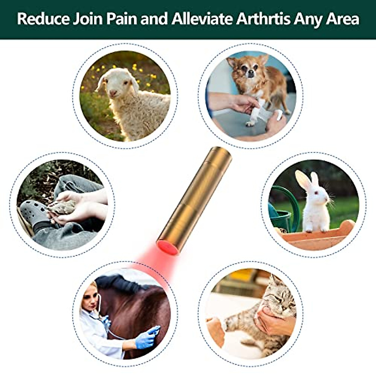 iKeener Vet Device for Pets,Red Light Therapy for Pain Relief,Muscle & Joint Pain from Dog Arthritis,Handheld Infrared Light with 660nm & 850nm Wavelengthsm for Dogs,Cats,Horses (Gold)