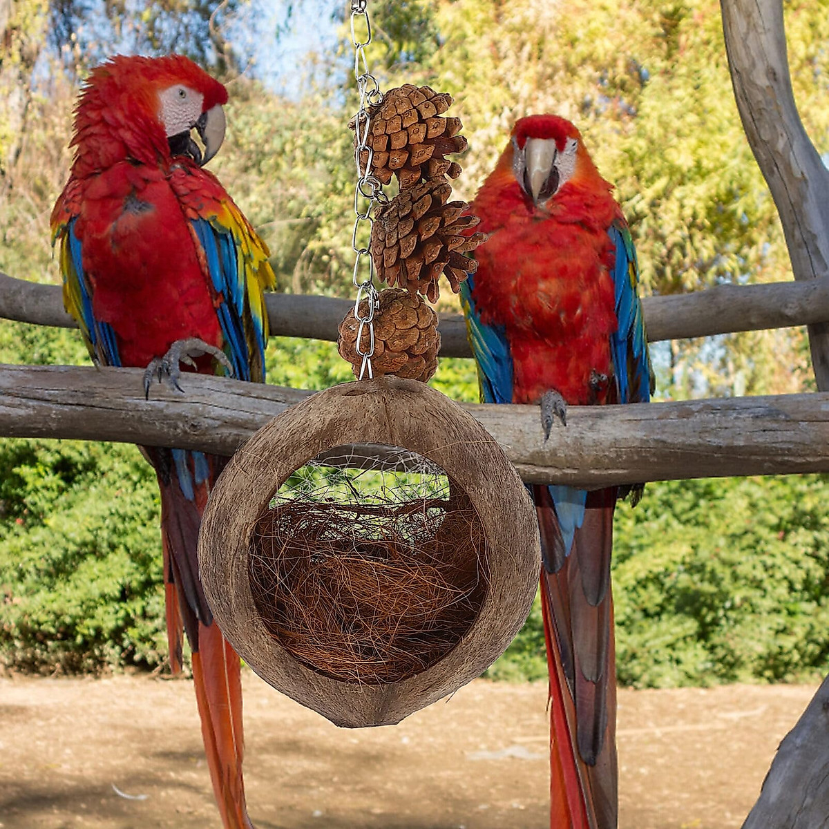 POPETPOP Coconut Bird Nest Natural Coconut Shell Hideaway Hanging Bird House Parrots Hide Hut Habitats Cage Accessory for Pet Budgies Parakeet Lovebird Finch Canary