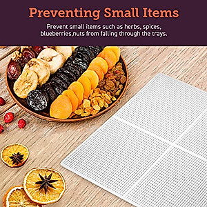 COSORI Food Dehydrator Machine Mesh Screens, BPA-Free Plastic Dryer Sheets for Fruit, Meat, Beef jerky, Herb, Vegetable, C267-2MS, 2Pack, White