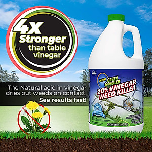 Green Gobbler 20% Vinegar Weed & Grass Killer | Natural and Organic | 1 Gallon | Glyphosate Free Herbicide | Refill