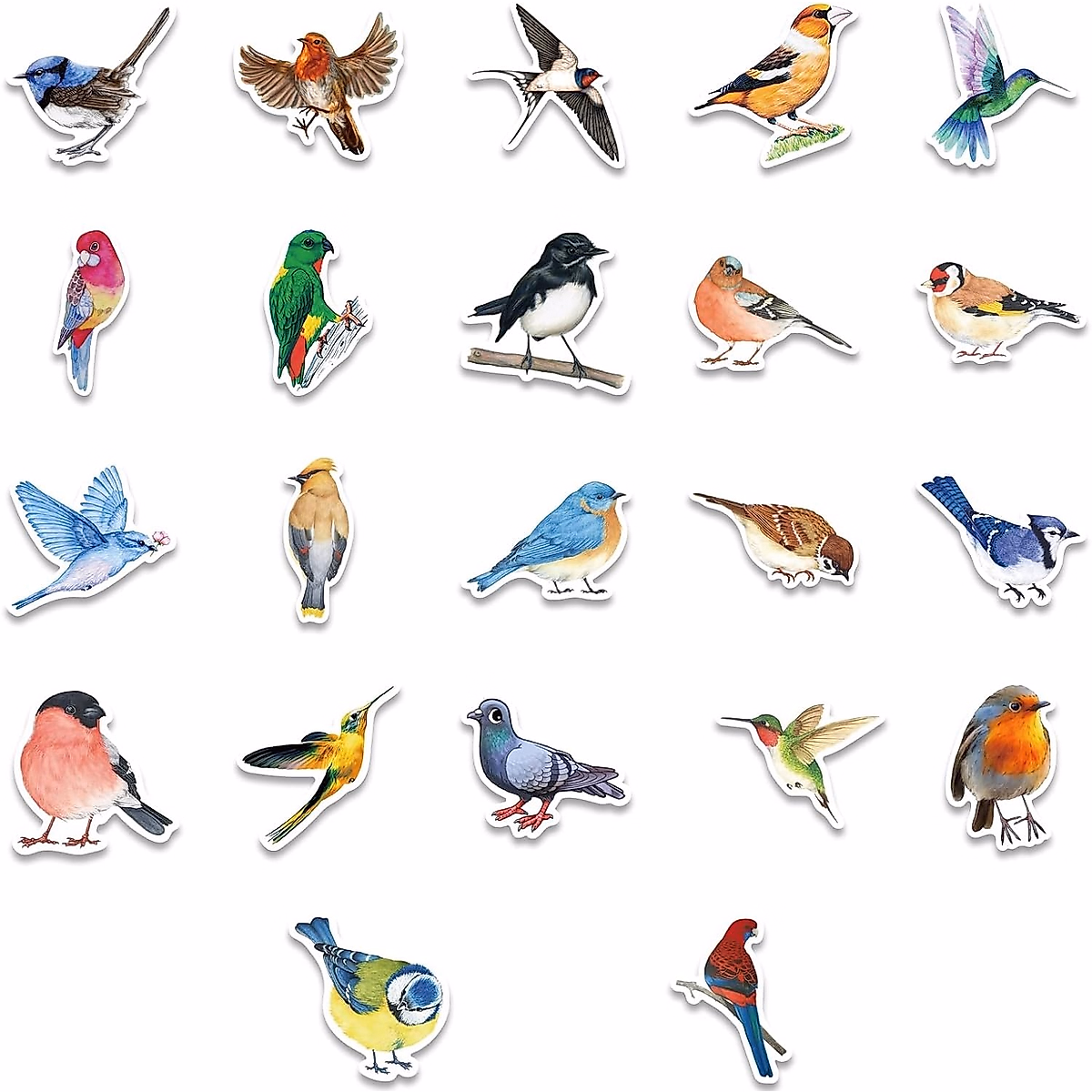 100 PCS Bird Stickers, Vinyl Waterproof Bird Stickers for Water Bottles, Laptop, Notebook, Scrapbook, Luggage, Cell Phone, Skateboard, Helmet