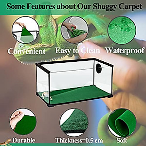 HERCOCCI 2 Pack Reptile Carpet, 39’’ x 20’’ Terrarium Bedding Substrate Liner Reptile Cage Mat Tank Accessories for Bearded Dragon Lizard Tortoise Leopard Gecko Snake (Green)