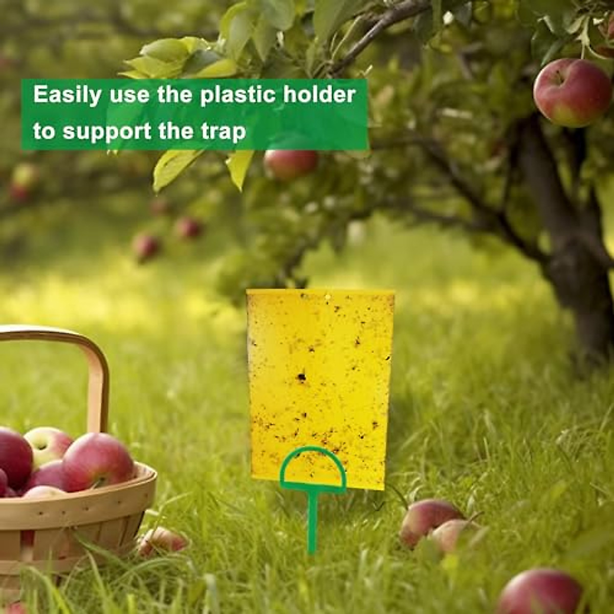 60 Sheets Sticky Fly Traps, Dual-Sided, for Flying Insect, Indoor and Outdoor, 8x6 Inch, Yellow