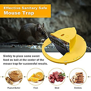 Flip N-Slide Bucket Lid Mouse / Rat Trap Cat Pattern Mouse Slide Traps Automatically Resets Humane Trap Door Style, Compatible with 5 Gallon Bucket, Multi Catch Mice Control Traps