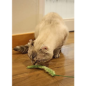 Catty Man Cat Play Grass, Jareneko Setaria 2 pcs. Set. Interactive Cat Teaser Wand Made in Japan