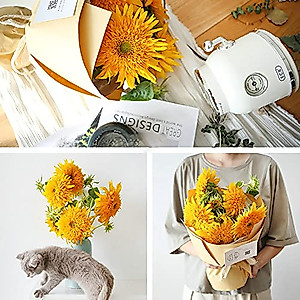 1000pcs Mix Sunflower Seeds for Planting - 10 Varieties Heirloom and Non-GMO Seeds for Outdoor Garden and Bonsai Plants, Easy to Plant and Grow