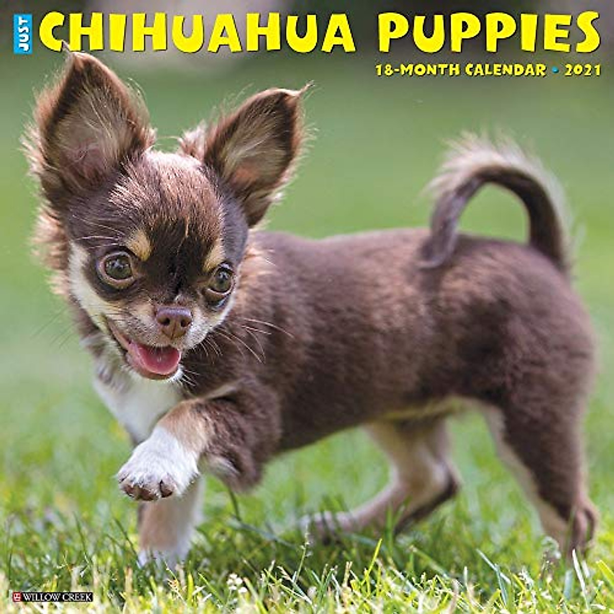 Just Chihuahua Puppies 2021 Wall Calendar (Dog Breed Calendar)