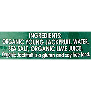 Native Forest Organic Young Jackfruit, 14 oz