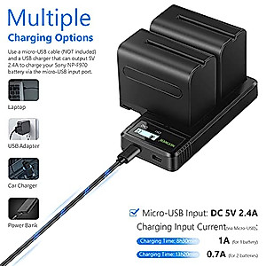 Neewer Fast Charger Dual USB with 2-Pack 6600mAh Replacement NP-F970 Batteries, Compatible with Sony NP-F970 F960 F950 F770 F750 F570 F550 ,Handycam and Neewer Led Light, Monitor, Motorized Slider