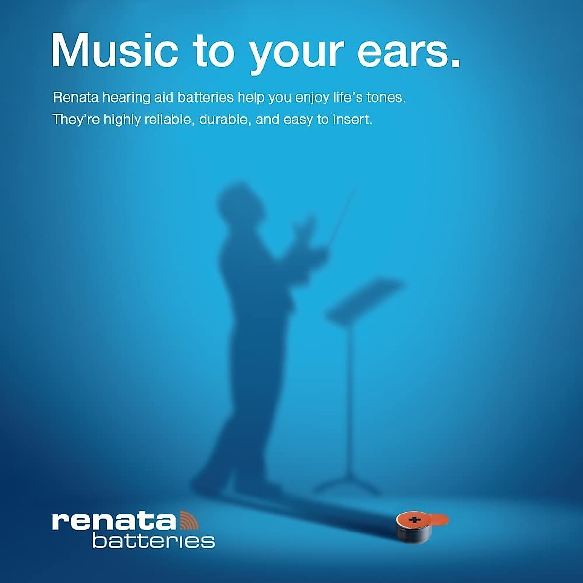 10 Packs (60 Batteries) Renata Swiss Made Size 13 Batteries