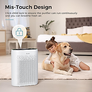 AROEVE Air Purifier with Two Filter(One Basic Version & One Standard Version)