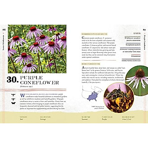 100 Plants to Feed the Bees: Provide a Healthy Habitat to Help Pollinators Thrive