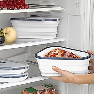 Pizza container, Silicone pizza container, 5 plate pizza container, Reusable pizza storage, Expandable pizza container