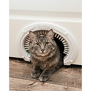 Cat Door for Interior Doors with Grooming Brush - Large Pet Cat Pass for Adult Cats up to 20 Lbs - Easy to Install Pet Door w/ Brush Plus Detailed Instructions, Screws & Screw Caps