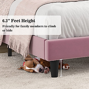 Allewie Queen Bed Frame/Velvet Upholstered Bed Frame with Vertical Channel Tufted Headboard/Strong Wooden Slats/Platform Bed Frame/Mattress Foundation/Box Spring Optional/Easy Assembly/Pink