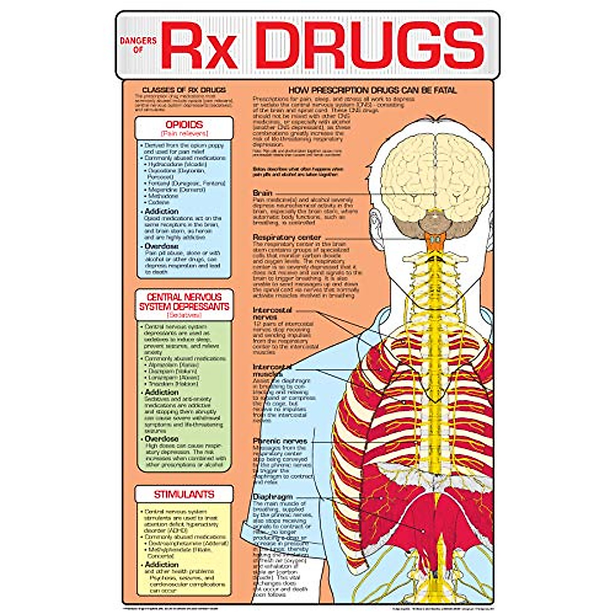 Dangers of Prescription Drugs (24" x 36" Poster)