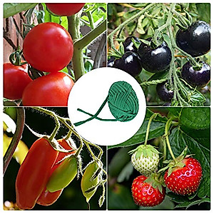 BBTO 30 Meter/ 98 Feet Green Garden Twine Garden Plant Tie Tree Tie Stretchy Plant Support Tie for Garden Office and Home Cable Organizing, Craft Supplies(1 Roll)