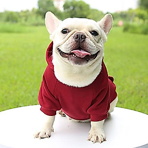 Dog Hoodie with Pocket Pet Warm Sweater for Winter Small Medium Dogs Puppy Coat Red XS