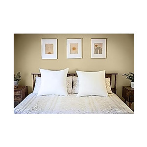 Cozy Bed Euro Throw Pillows Insert (Pack of 2, White) 26 x 26 Inches (Suitable for 25-27 pillowcase.), Bed Pillows for Sleeping European Size, Bed and Couch Pillows, Decorative Pillows