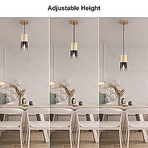 LINSEEDS Pendant Light Fixtures, Black and Gold Adjustable Modern Pendant Lights for Kitchen Island, Industrial Glass Pendant Lights for Dining Table Hallway Bedroom Living Room,1 Pack