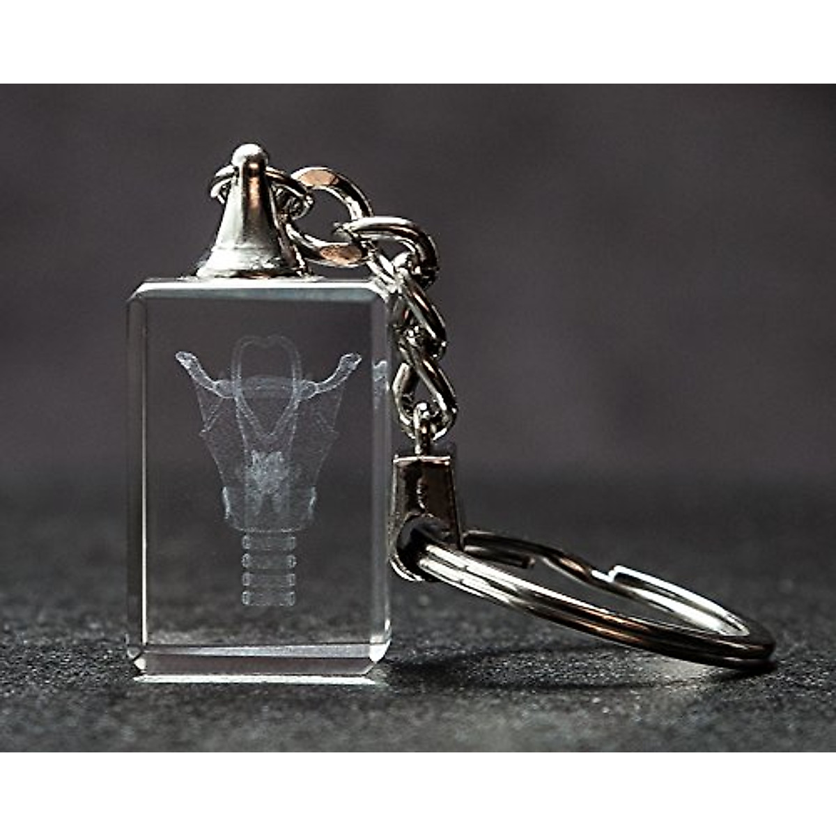 Larynx 3D Laser Crystal Key Chain, Anatomy, Voice Box, Singing, Adam's Apple