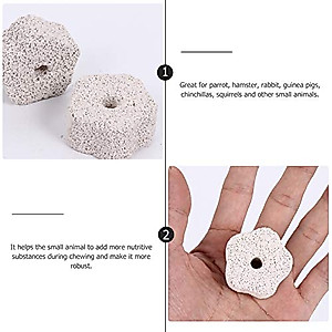 balacoo 12Pcs Small Animal Chew Toys Lava Bites Toy Pet Teeth Toy Molar Toy Biting Toy Pet Supplies for Guinea Hamster Rabbit Rat