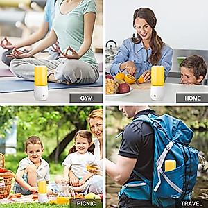 Portable Blender Personal Size Blender - Mini Blender for Shakes and Smoothies USB Charge Small Blender Fresh Juice Blender Cup with 4 Blades for Travel Kitchen Gym Office Outdoors