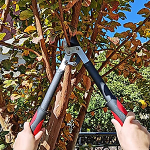 Lopper Heavy Duty Branch Cutter, YRTSH Tree Clippers with Compound Action, Chops Thick Branch Ease, Garden Loppers Pruning, 18 Inch Tree Trimmer with 1.6” Clean Cut Capacity (18 Inch)