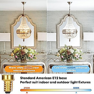 E12 Candelabra LED Light Bulbs, Dimmable 40 Watt Equivalent 5000K Bright Daylight White Candle Bulbs, 4W 460 LM Decorative CA10 Filament Chandelier Lamp Base for Bedroom Living Room Office, 12-Pack