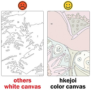 hkejoi Paint by Number for Kit Adults Canvas,Adults Paint by Numbers Kits,Acrylic Flowers Painting by Numbers for Adults for Home Wall Decoration and 16X12inch