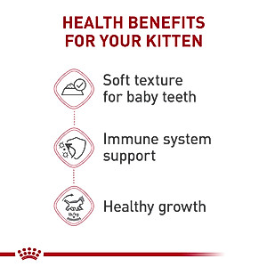 Royal Canin Feline Health Nutrition Kitten Loaf in Sauce Canned Cat Food, 5.1 oz can (24-count)