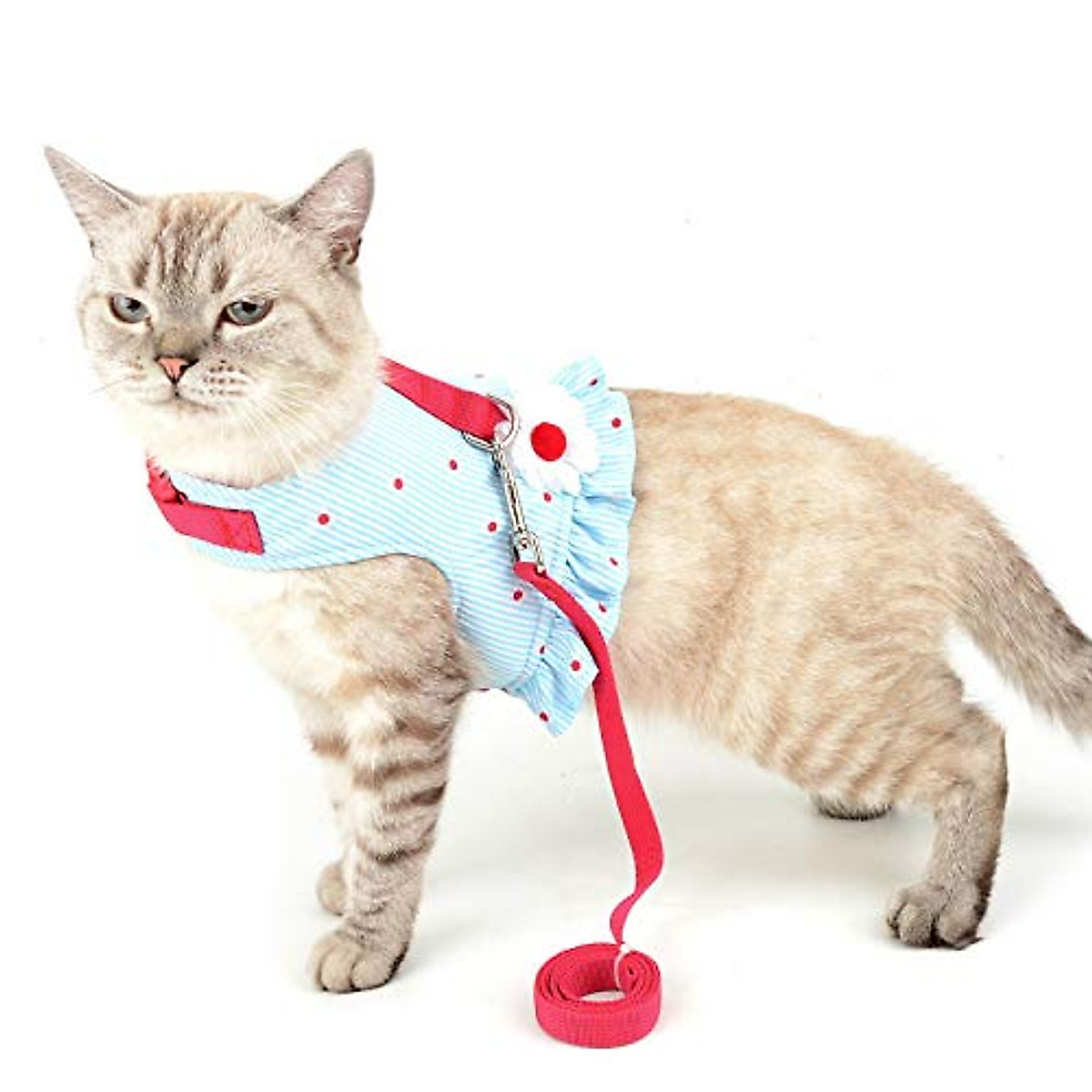 SMALLLEE_LUCKY_STORE Bow Flower Striped Print Cat Small Dog Harness Dress with Leash for Girls Adjustable No Pull Escape Proof Soft Walking Jacket Waterproof Puppies Kitten Harness Vest Outdoor,Blue S