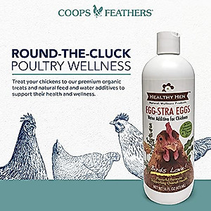 Healthy Hen Egg-Stra Eggs - Organic Chicken Water Additive with Aloe Vera, Calendula Oil, Thyme Oil, and More - 16 oz - Supports Egg Production and Immunity - All Natural - Made in the USA (1 pack)