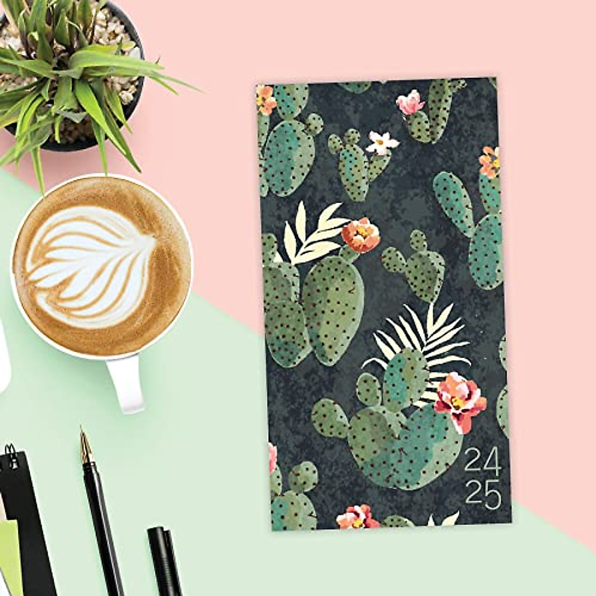 Willow Creek Press Cactus 2-Year January 2024 - December 2025 Monthly Pocket Planner (3.5" x 6.5")