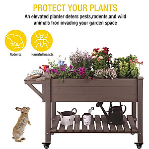 Aivituvin Raised Garden Bed, Elevated Plant Boxes Outdoor Large with Grow Grid - with Large Storage Shelf 52.7" x 22" x 30"