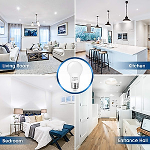 LOHAS A19 LED Light Bulbs 75W Equivalent, 12W LED Light Bulb Daylight White 5000K, 1200LM Bright Light Bulb, Energy Efficient LED Light Bulb, E26 Base LED Light Bulb, UL Listed, Non-dimmable, 2 Pack