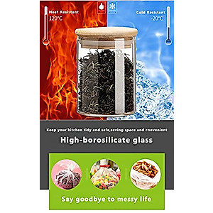 NEPIVEL 2 Pack Glass Jars with Bamboo Lids, 18.5Oz Glass Containers with Airtight Bamboo Lid and Spoons,100% Sealed Glass Spice Jars for Candy Coffee Beans Sugar Nuts Cookies, 540ml