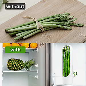 woodounai 2 Pcs Herb Saver for Refrigerator Cilantro Container for Fridge Fresh Herb Keeper Herb Storage Fridge Organizer for Cilantro Mint Parsley Asparagus Vegetables Fruit (White & Black)