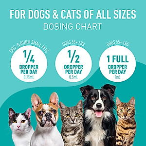 Nature's Synergy Hemp Oil for Dogs, Cats & Pets, Omega 3 6 9 Fatty Acids for Hip and Joint Support, Skin and Coat Health, Calming Dog Supplement to Support Stress from Travel, Separation, 1 Oz Bottle