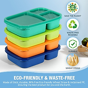 Caperci Bento Lunch Box Containers for Adults & Kids - 3-Compartment Reusable Meal Prep Containers with 2Pc Sauce Containers for School, Work, Travel, Wheat Straw, Set of 4 (Jewel Brights)