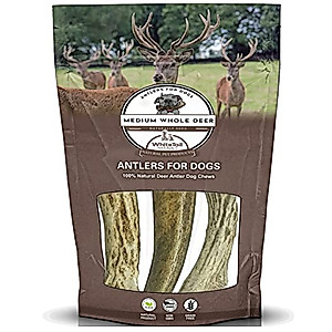 WhiteTail Naturals | 3 Pack Medium | Deer Antler Dog Chews | All Natural Organic Antlers for Dogs | Long Lasting Antler Bones for Dogs | Durable Antler Dog Toy