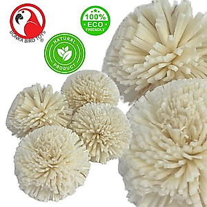 Bonka Bird Toys 3344 Pk4 Sola Spike Ball Foot Talon Craft Part Bird Toys Natural Foraging Chew Health Treat for Small to Medium Sized Birds and Other Small Pets