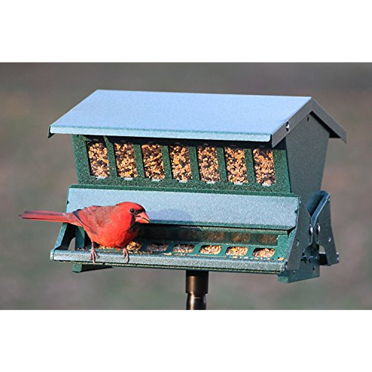 H-F Green Absolute II Two Sided Feeder With Windows