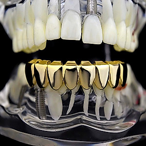 Bottom Eight Tooth Grillz 14k Gold Plated Lower Row Slugs Plain 8 Teeth Hip Hop Grills