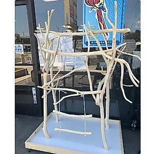 ExoticDad Large Bird Perch - Customize Your Perch Designed Natural Dragonwood Bird Perch on Wheels Stand for Parrots, Birds, Parakeets, Monkeys, Cockatiel, African Grey, Conure (2x4 ft B - 5x6 ft H)