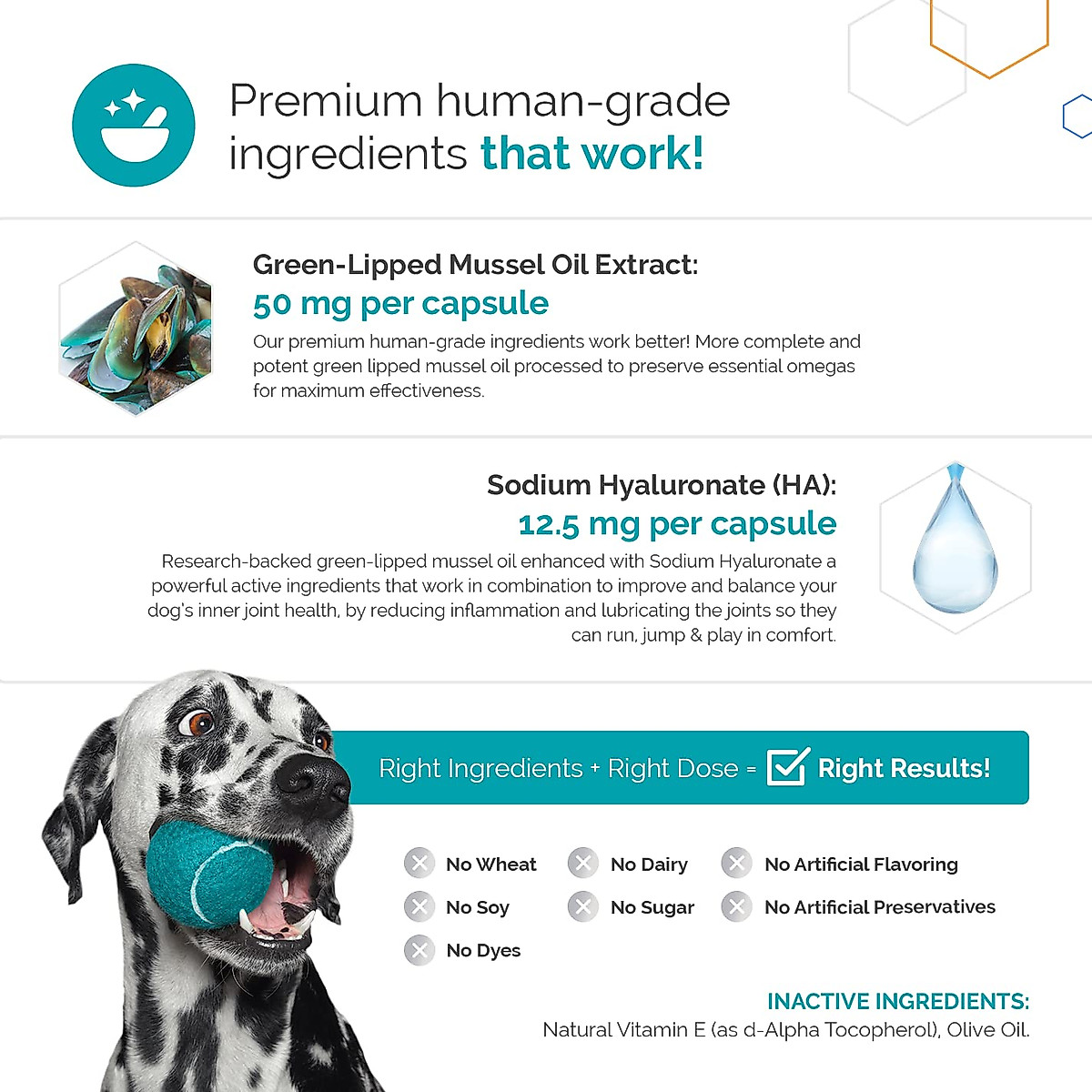 Extra Strength Wild Atlantic Fish Oil Enhanced with Green Lipped Mussel (90ct Capsules)