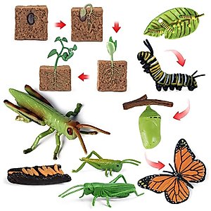 12PCS Life Cycle Figurines Toy Set of Butterflies Grasshoppers and Plants Figures Preschool Toys Kit Science and Educational Auxiliary Toys Cake Toppers Party Favors for Kids Toddlers Boys and Girs