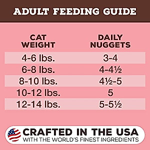 Primal Freeze Dried Cat Food Nuggets Beef & Salmon, Complete & Balanced Scoop & Serve Healthy Grain Free Raw Cat Food, Crafted in The USA (14 oz)