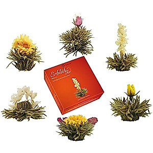 Creano Flowering Tea Gift Set - White Tea – 6 Blooming Tea with 17oz Glass Teapot
